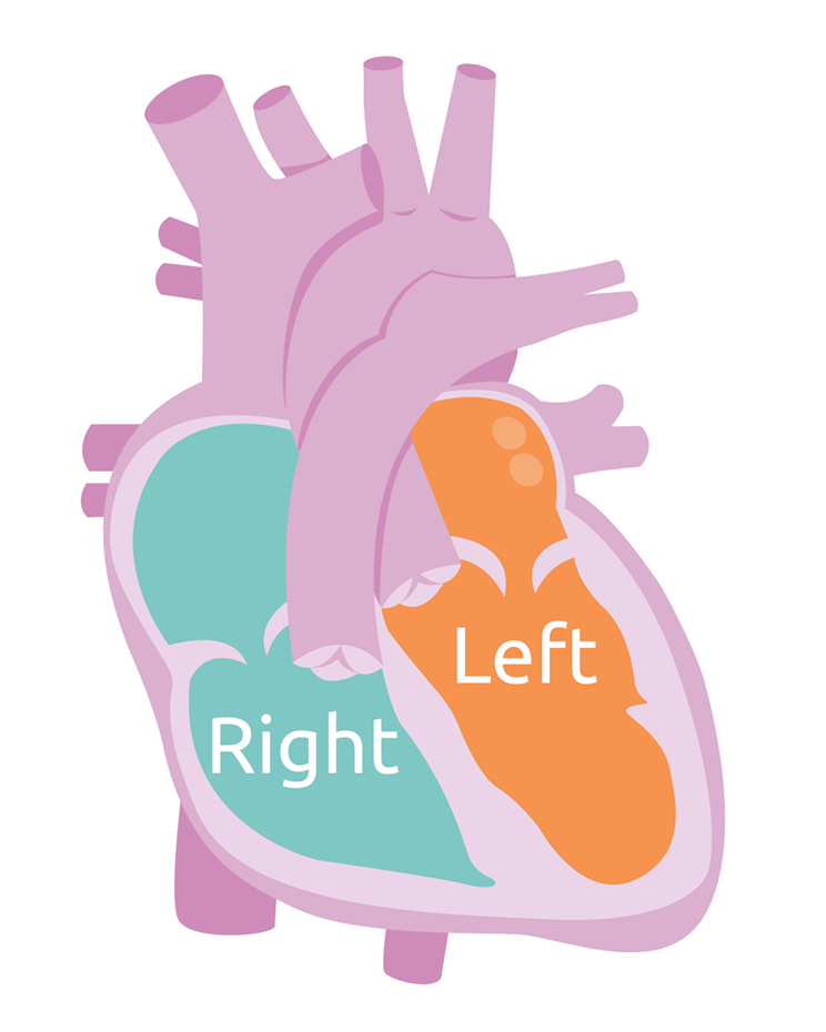 Module One: Understanding Your Diagnosis – myactioneducation.org