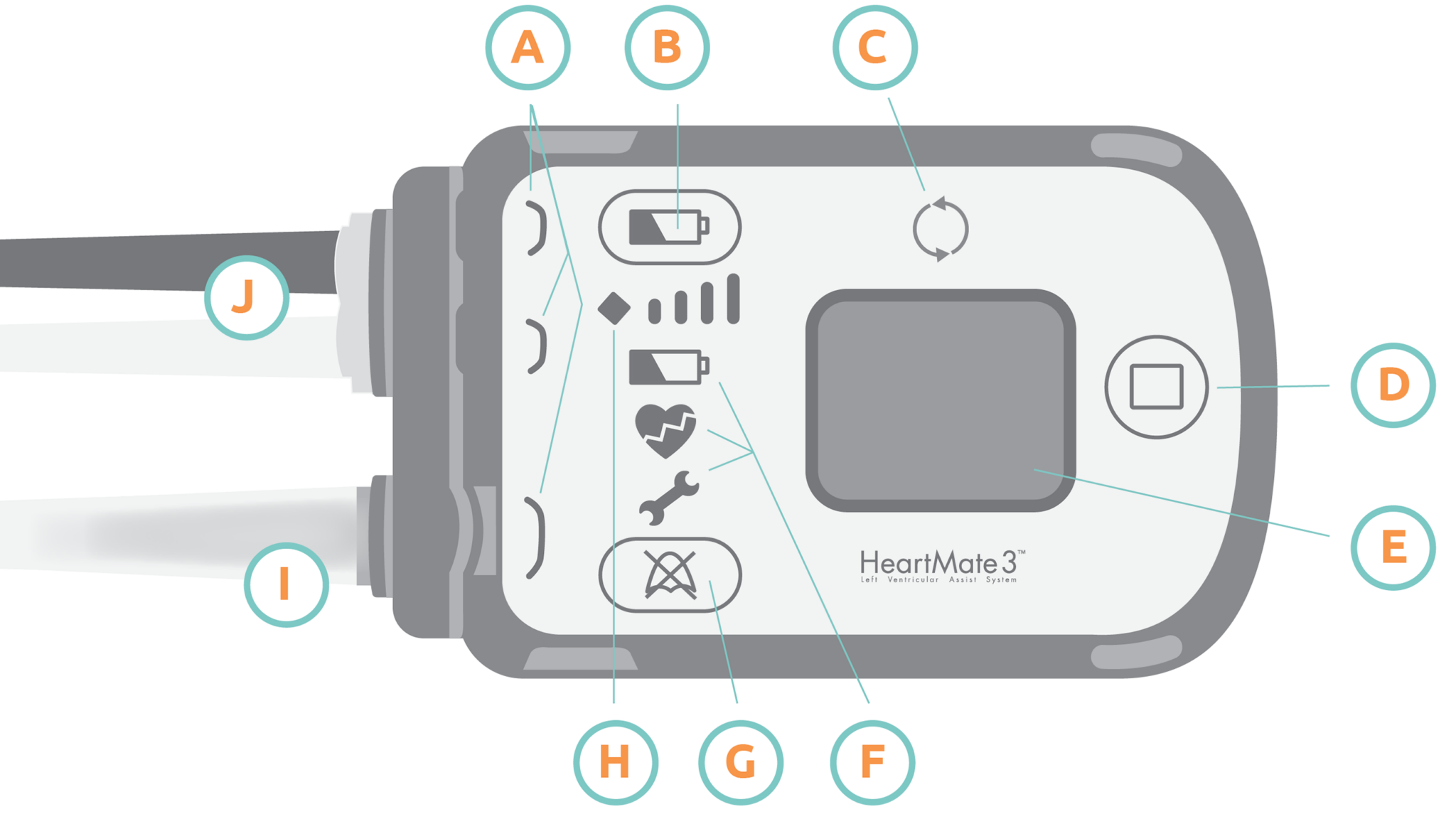 Quiz 3 – Lesson 1 – HeartMate3 – myactioneducation.org