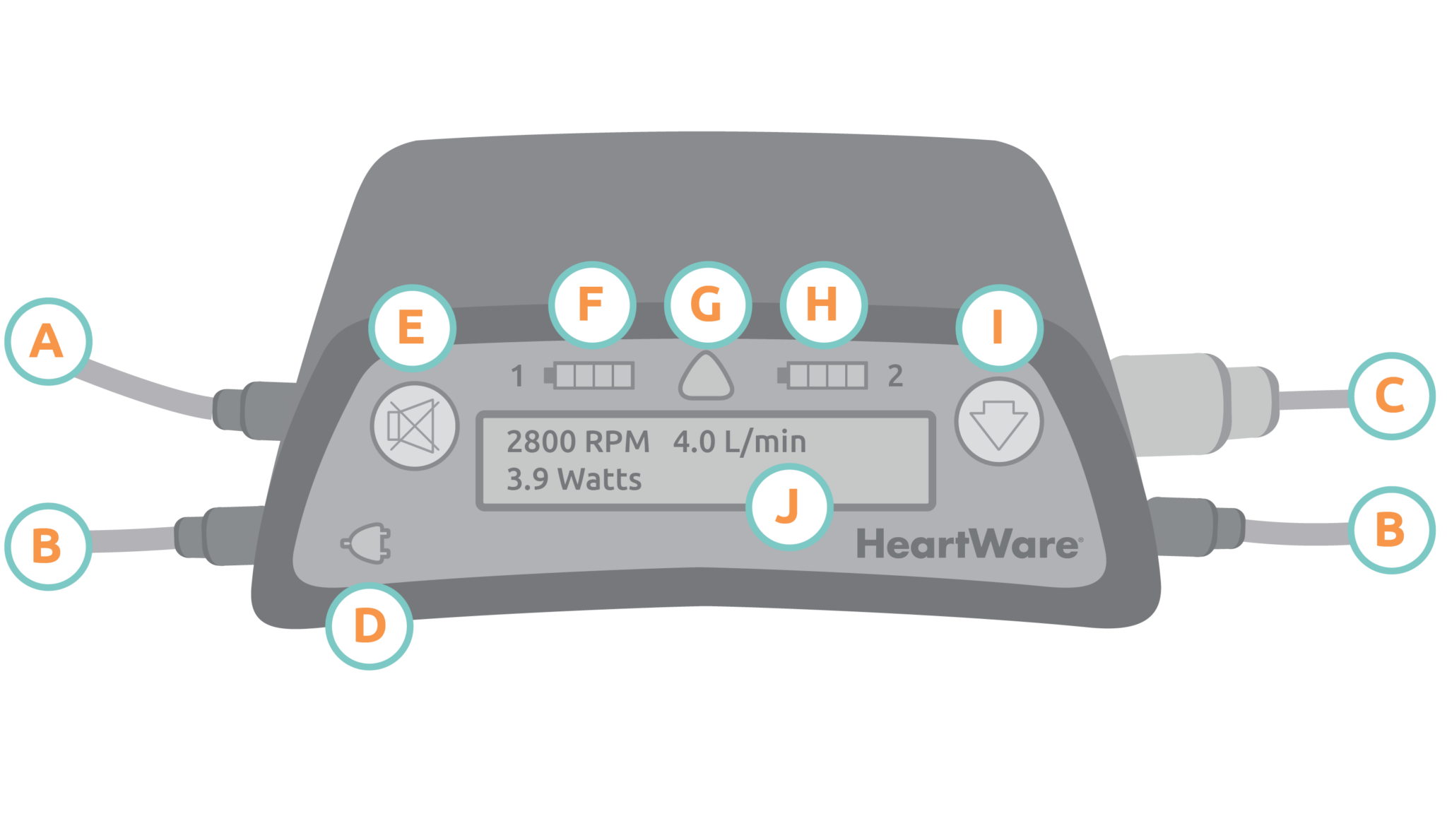 Quiz 3 – Lesson 2 – HVAD System – myactioneducation.org