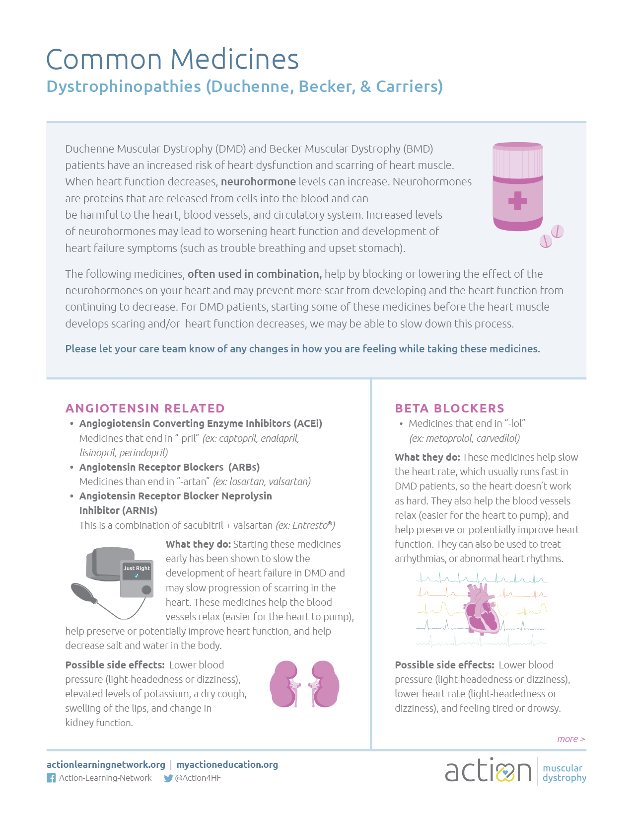 Library Action DMD – myactioneducation.org